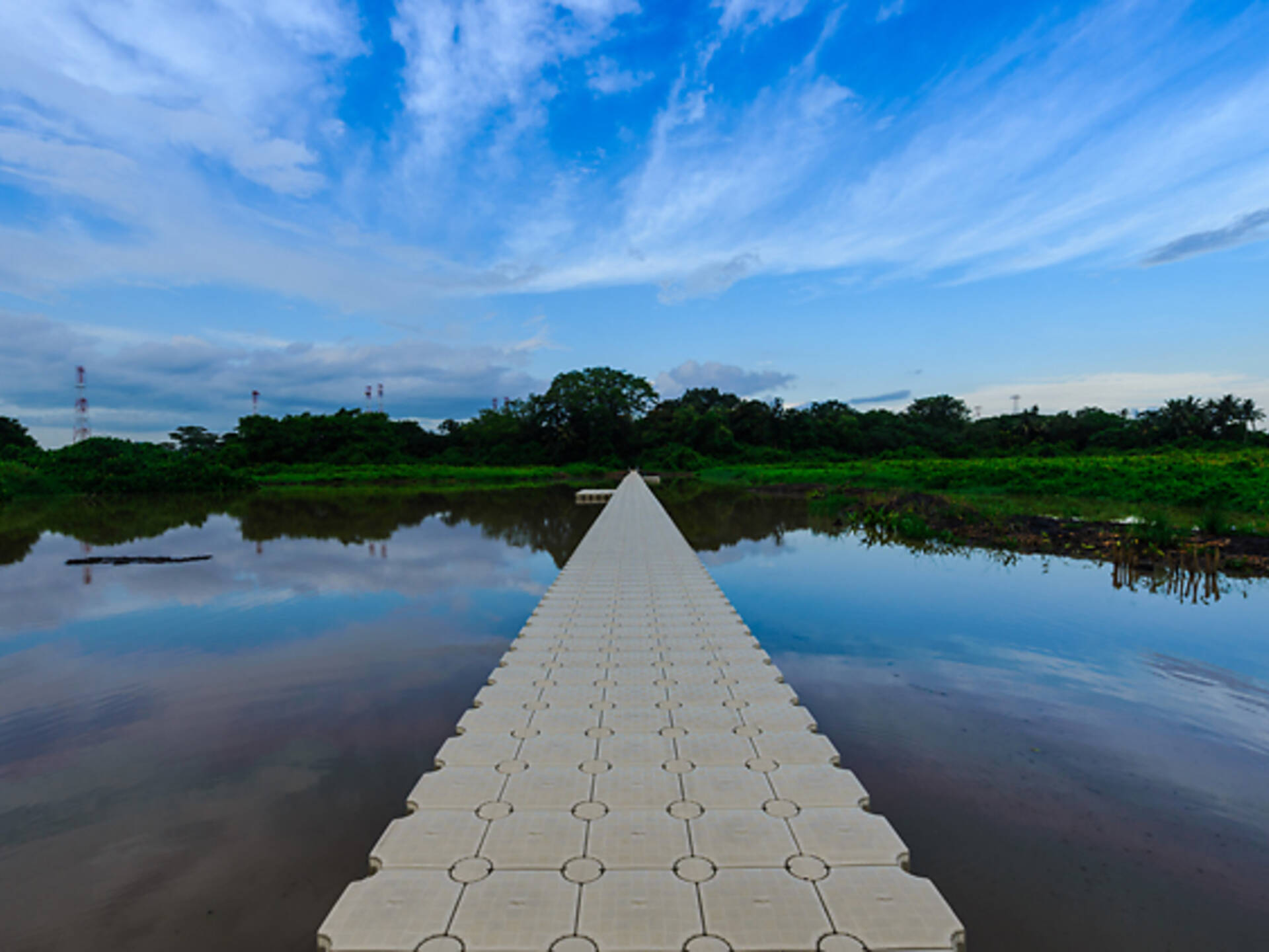 The Guide to Kranji Marshes in Singapore