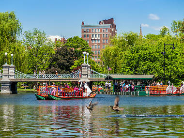 21 Best Things to Do in the Summer in Boston