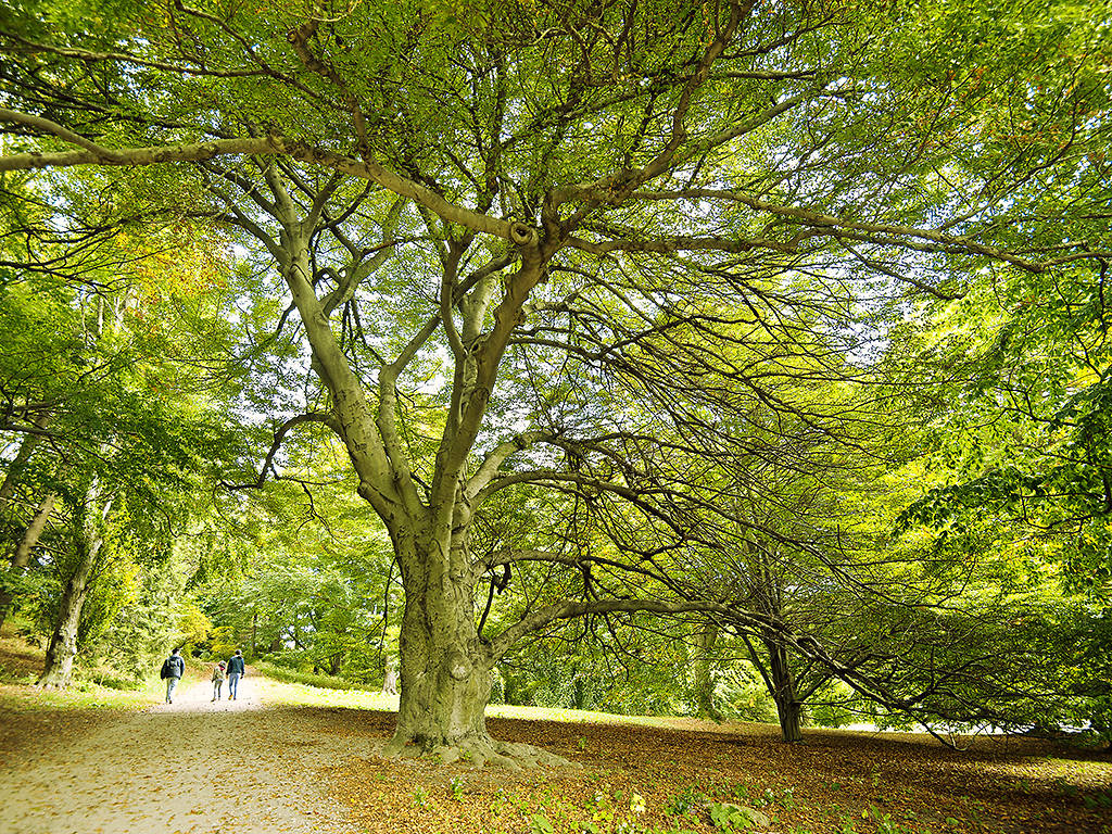 The Best Parks in Boston: 11 Green Spaces Perfect for Picnics