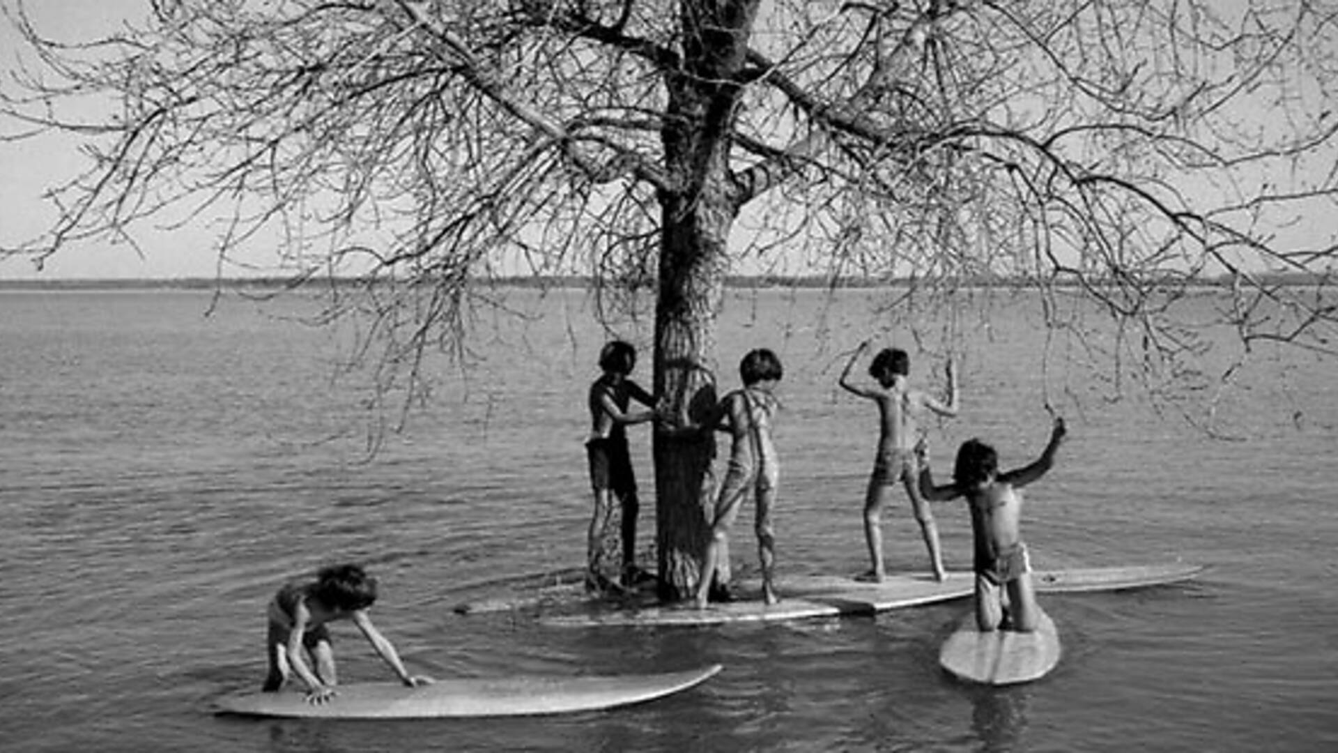 The 15 best surf movies, from feel-good flicks to big-wave docs