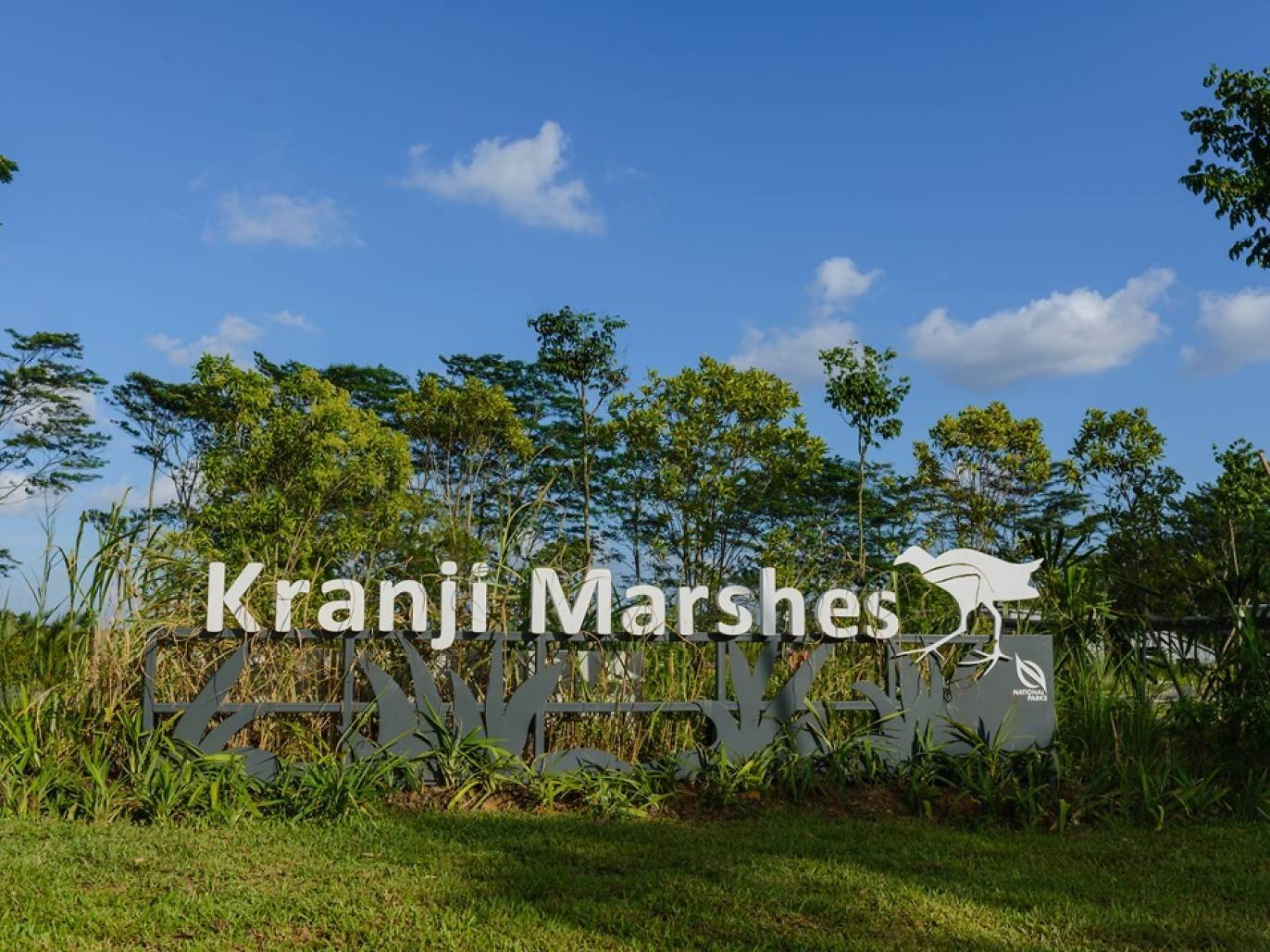 The Guide to Kranji Marshes in Singapore