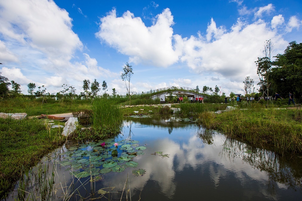 The Guide to Kranji Marshes in Singapore
