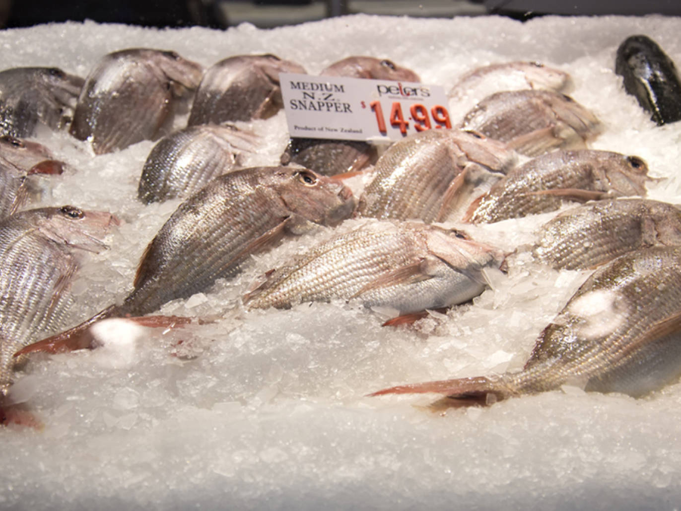 Find the best fish market in New York for fresh seafood