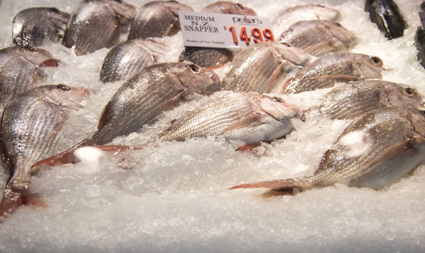 Find the best fish market in New York for fresh seafood