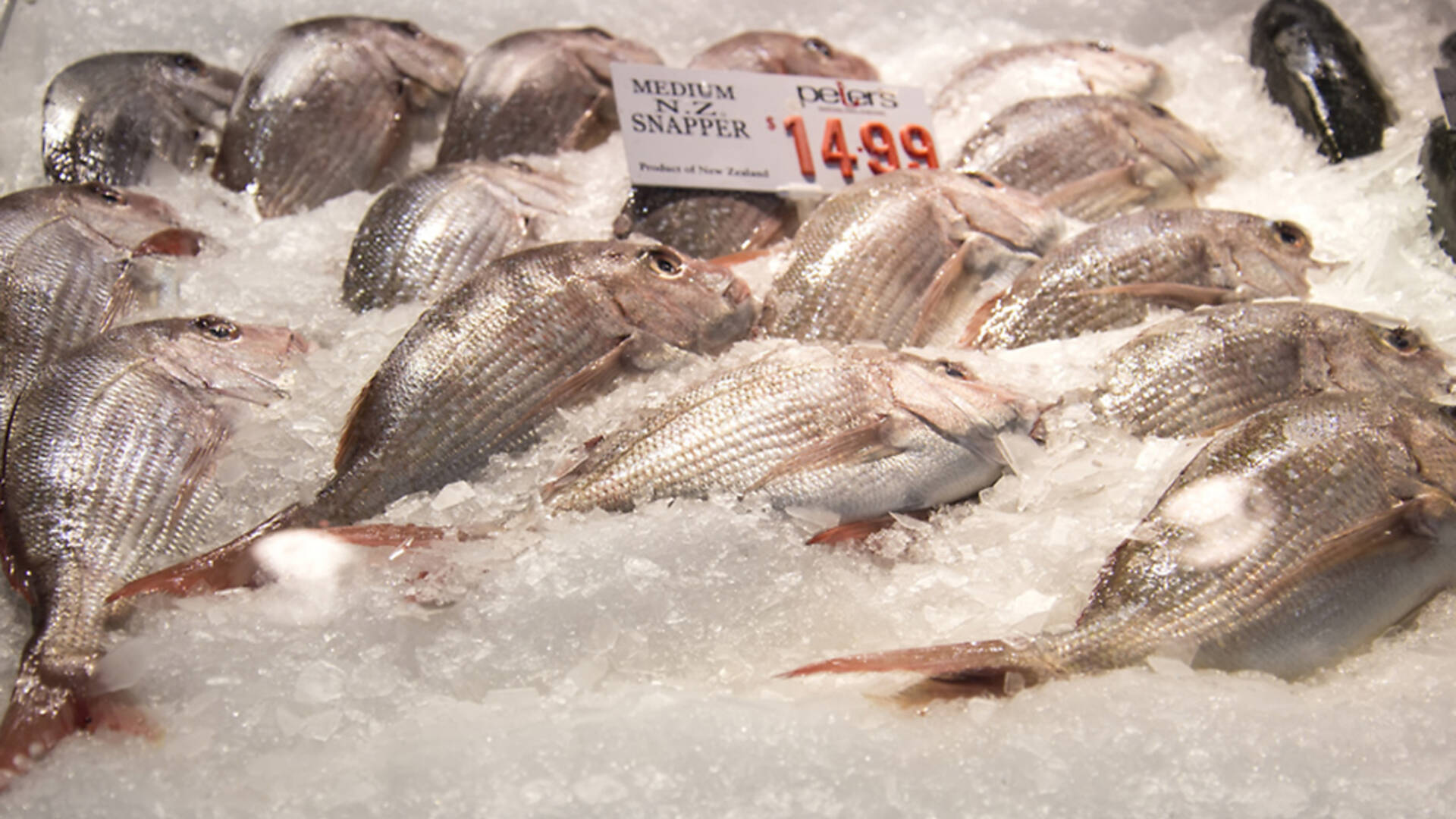 Find the best fish market in New York for fresh seafood