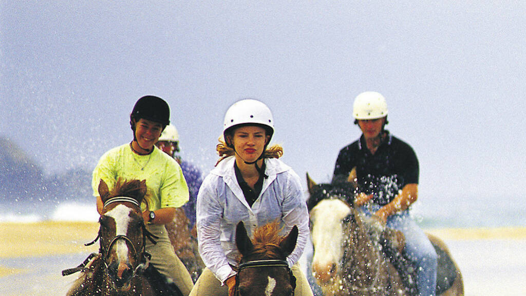 Where to go horse riding and trail riding in Melbourne