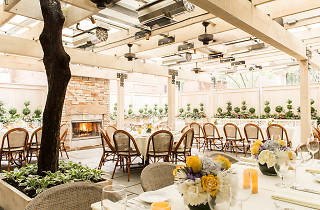 12 Best Harvard Square Restaurants, Including Fine Dining