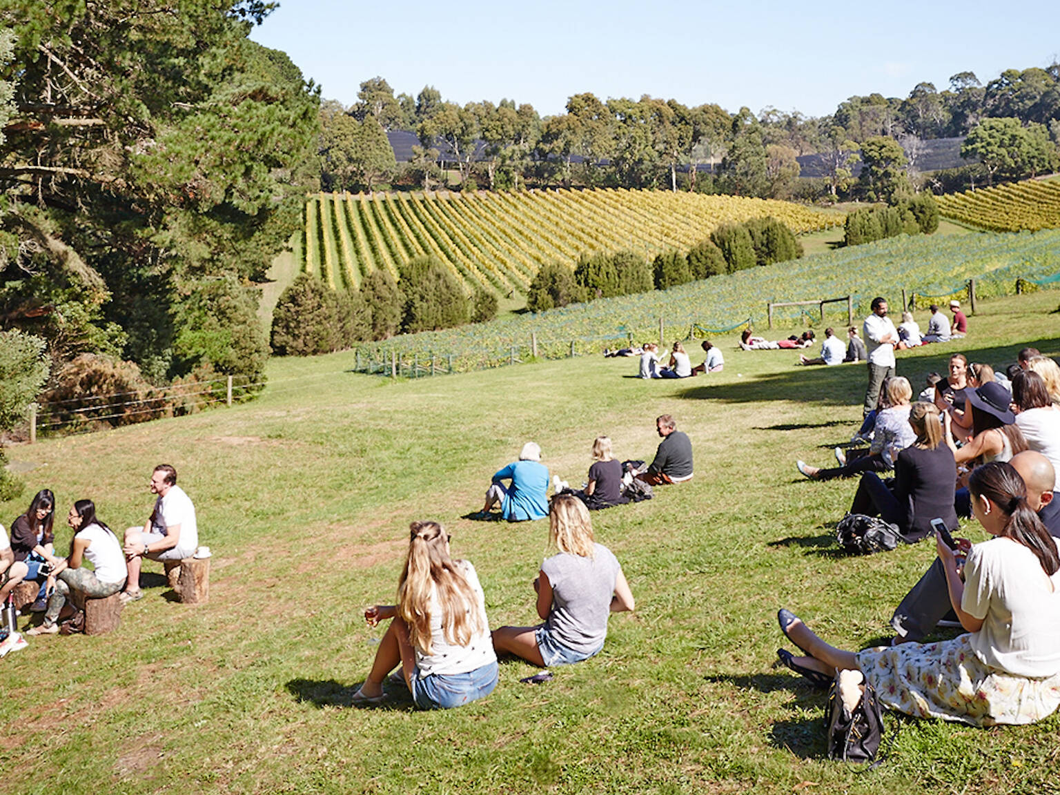 Ten reasons to visit Mornington Peninsula