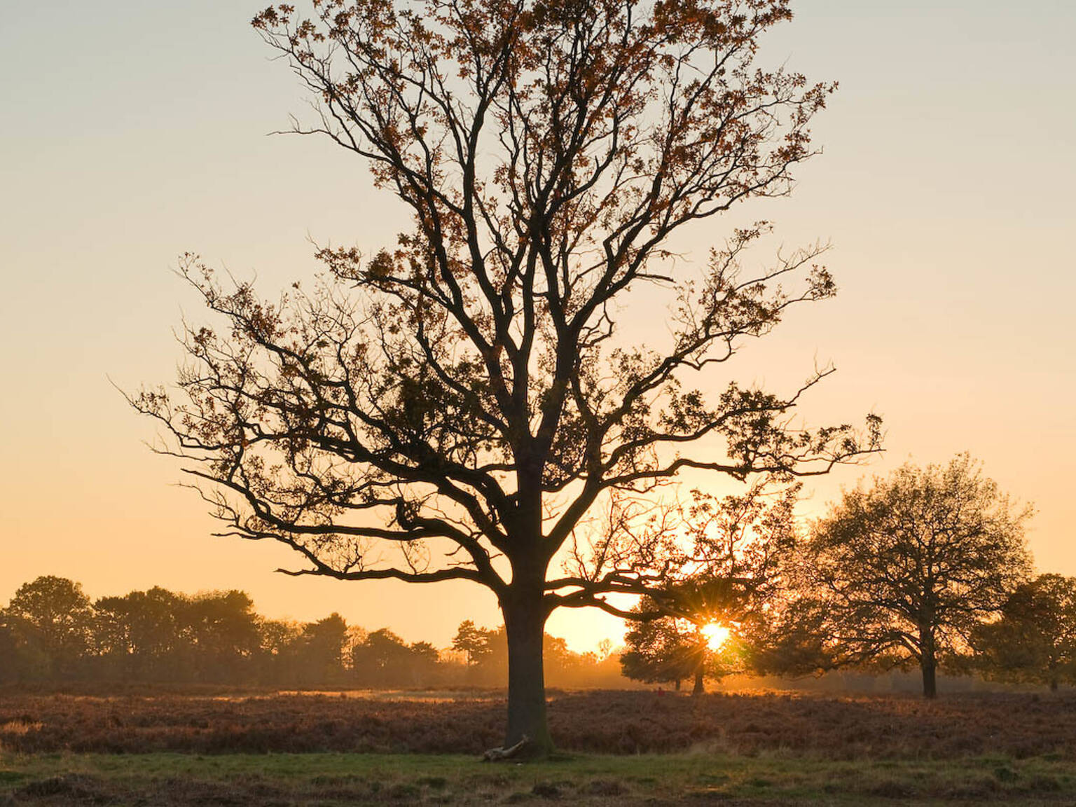 12 Quiet & Relaxing Places To Feel Calm In London [2025]