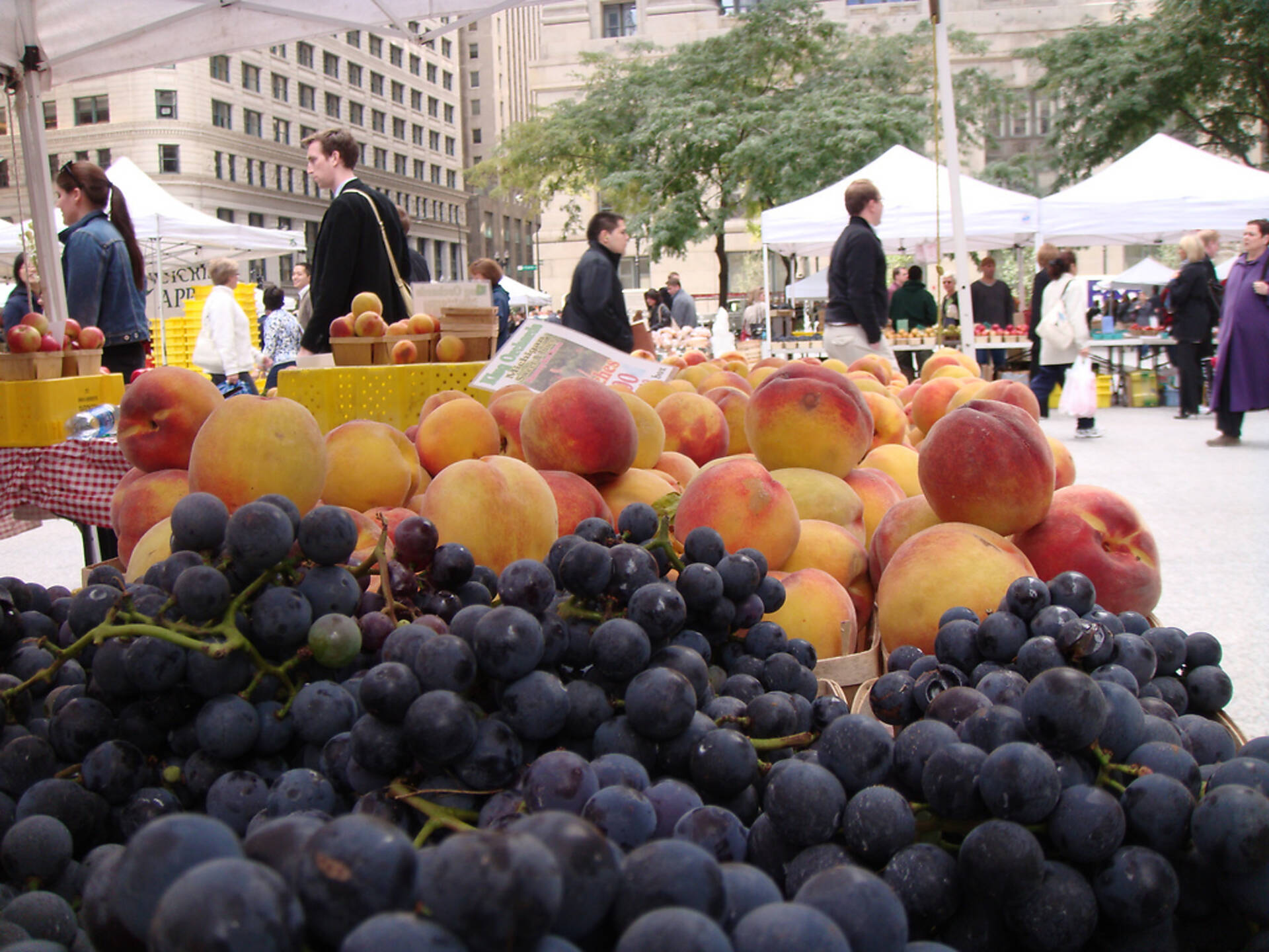 22 Best Farmers Markets in Chicago