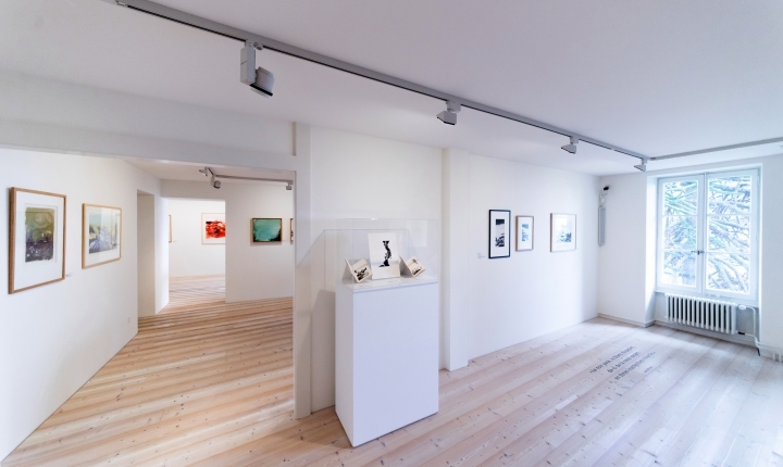 Musée d'Art de Pully | Art in Lavaux-Oron, Switzerland