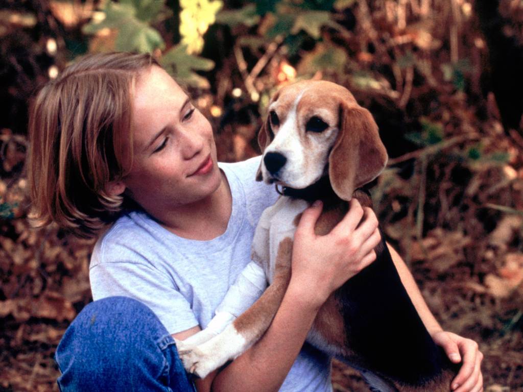 30 Best Animal Movies and Pet Movies To Watch As a Family