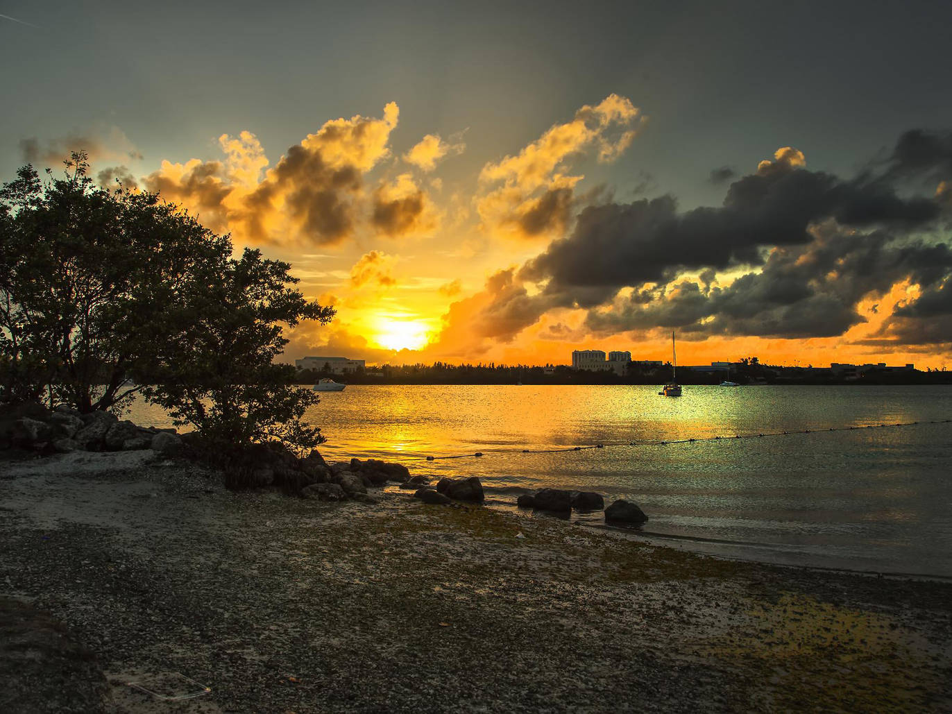 20 Fresh Date Ideas in Miami To Spice Up Your Relationship