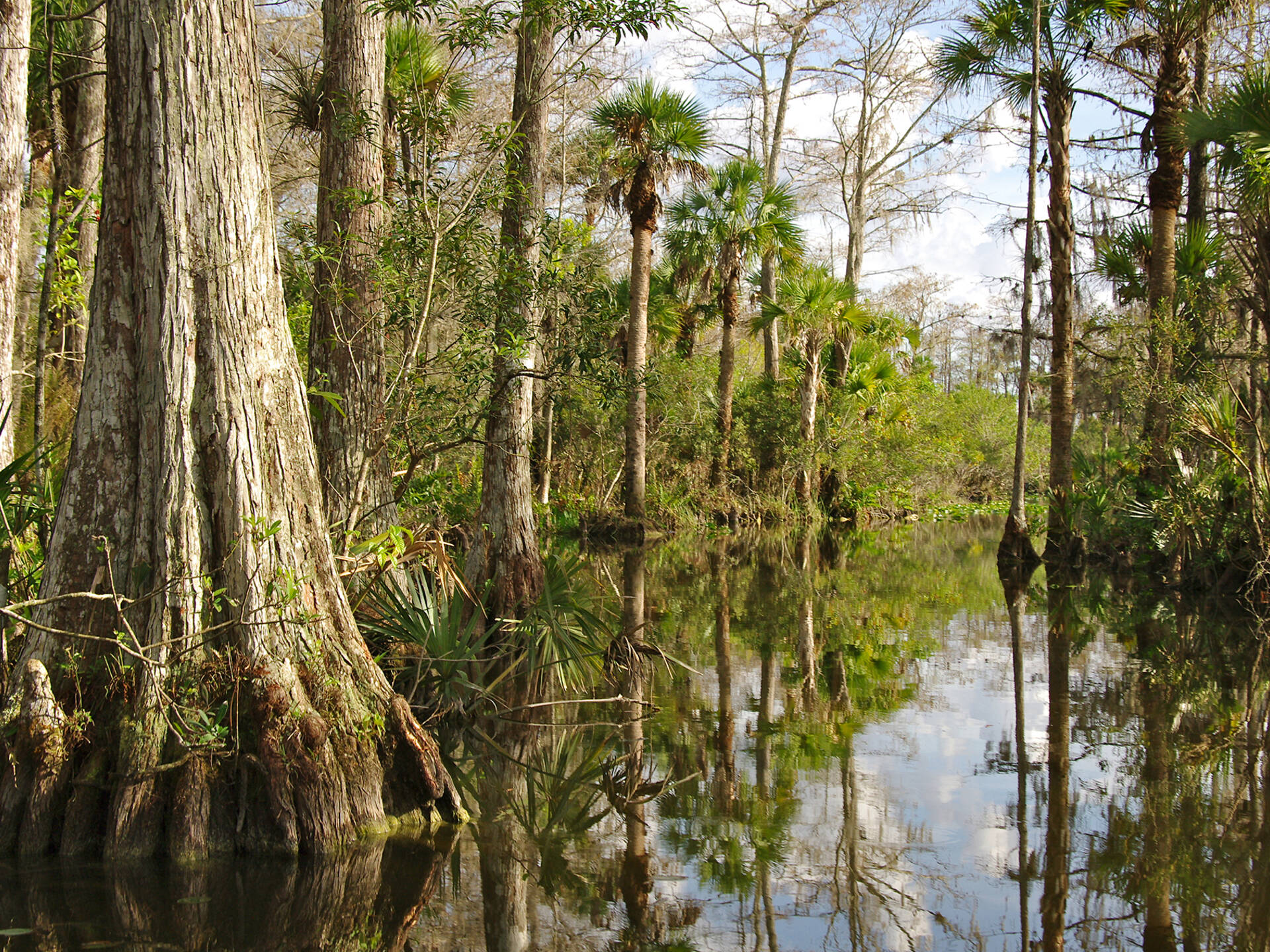 6 Best Wildlife Sanctuaries in Miami and South Florida