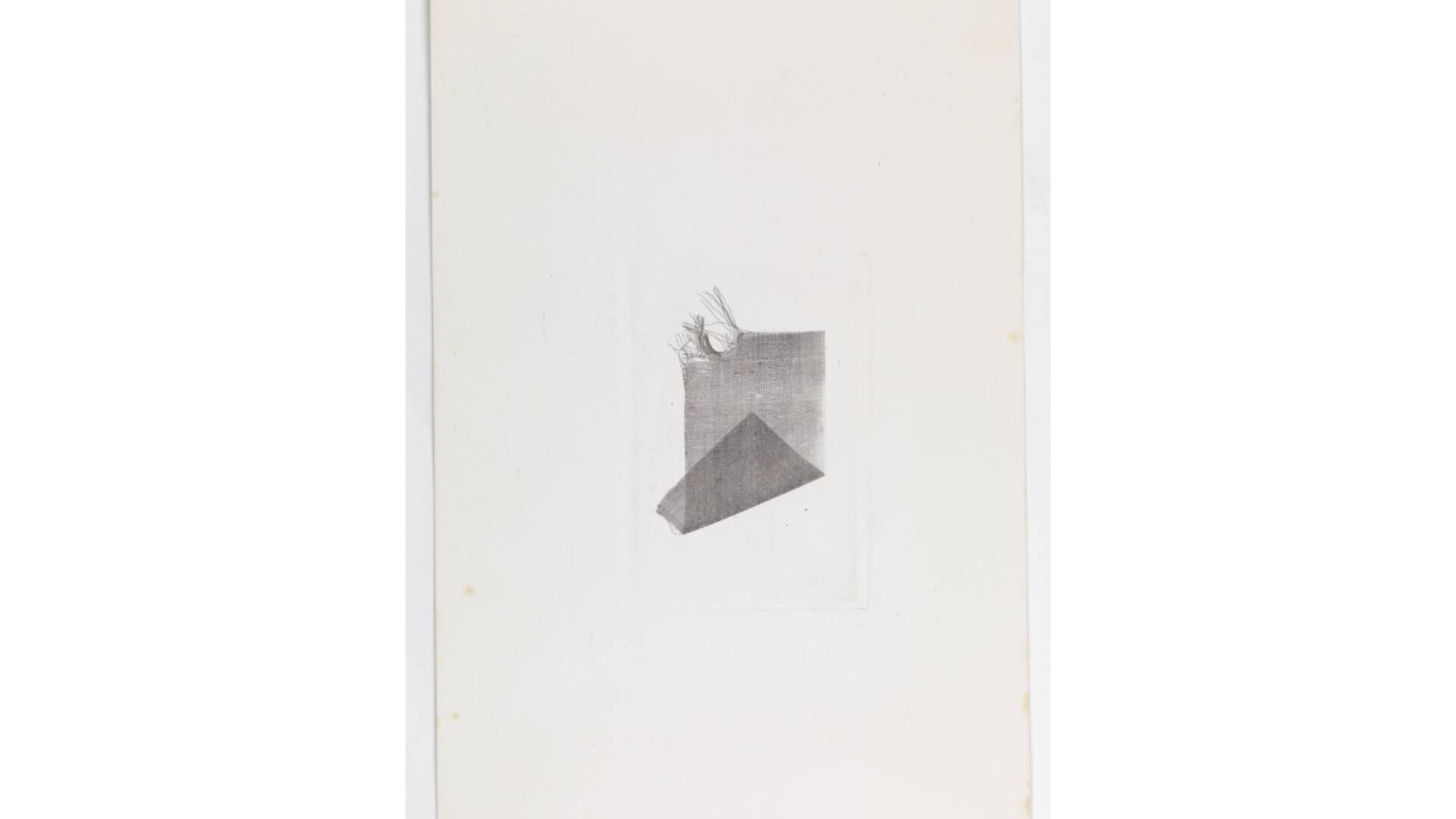 Fox Talbot: Dawn of the Photograph | Art in London