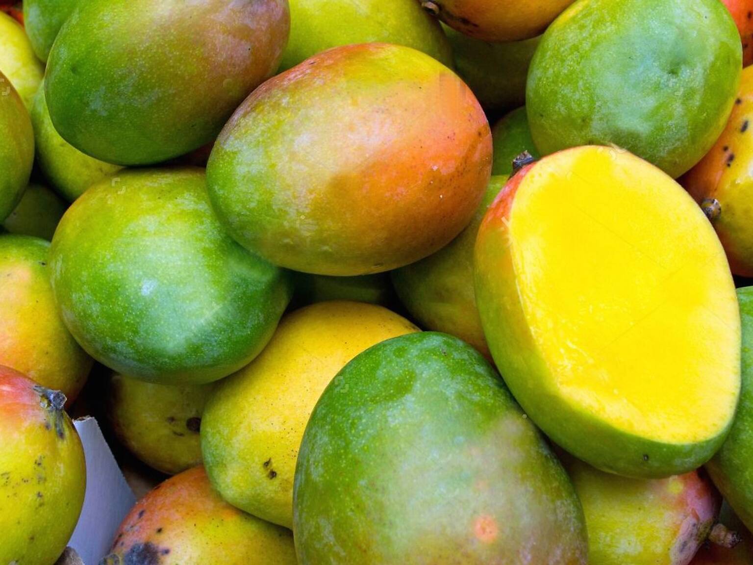 Mango love is in the air