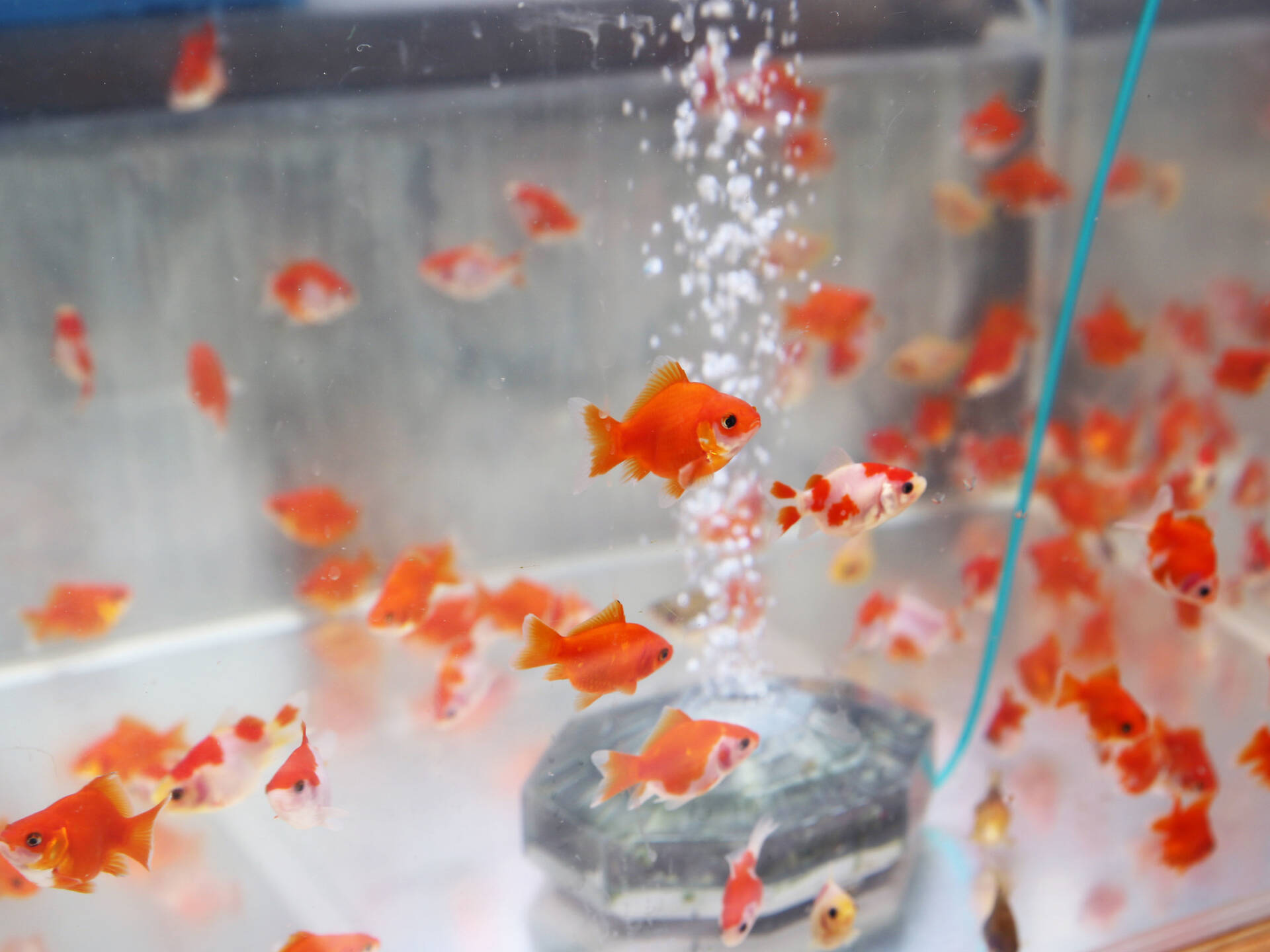 Best fishing spots in Tokyo | Time Out Tokyo