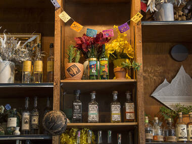 April 2024 Events Calendar for Things To Do in Chicago