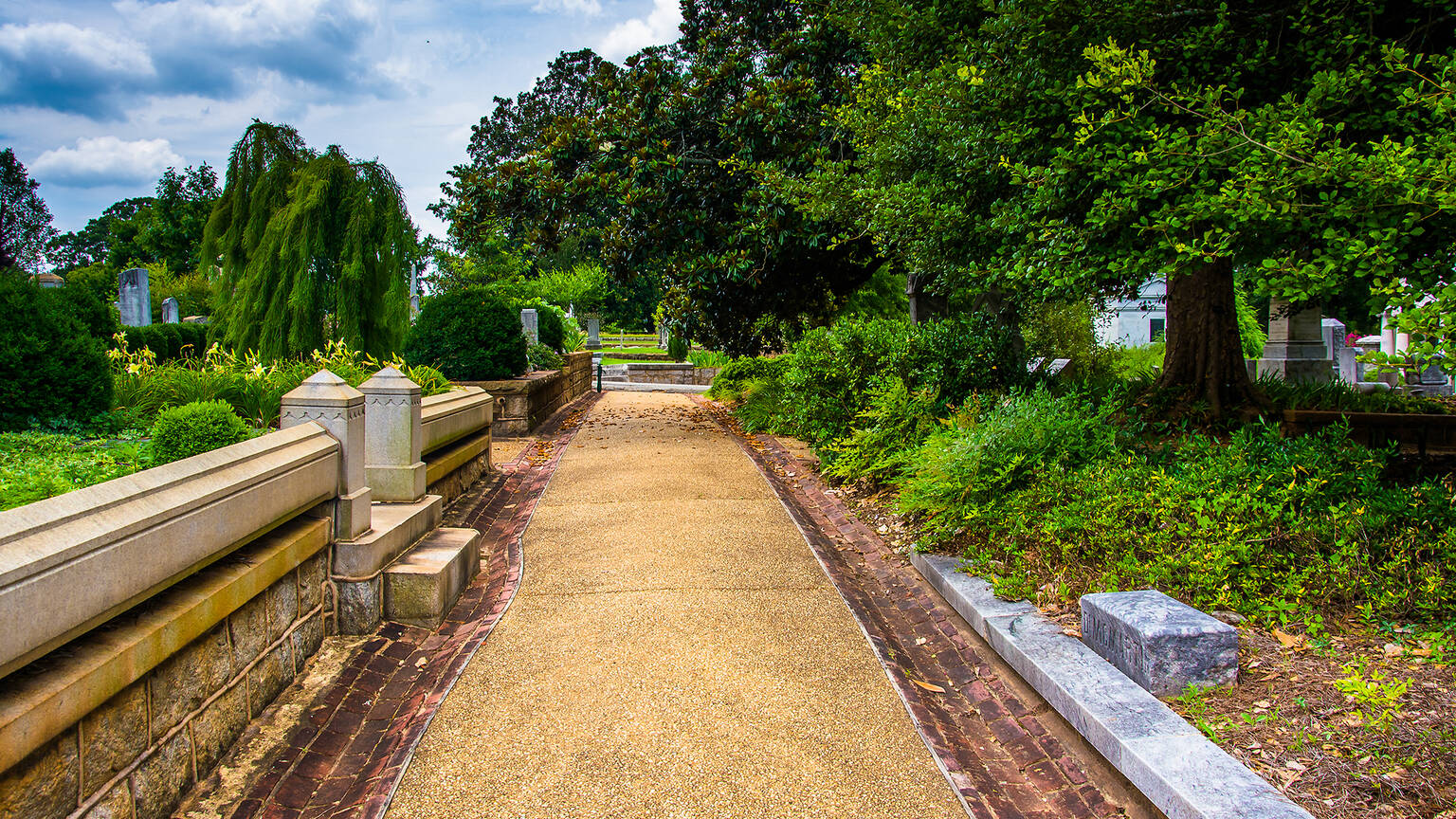 11 Best Parks in Atlanta for Fresh Air and Fun