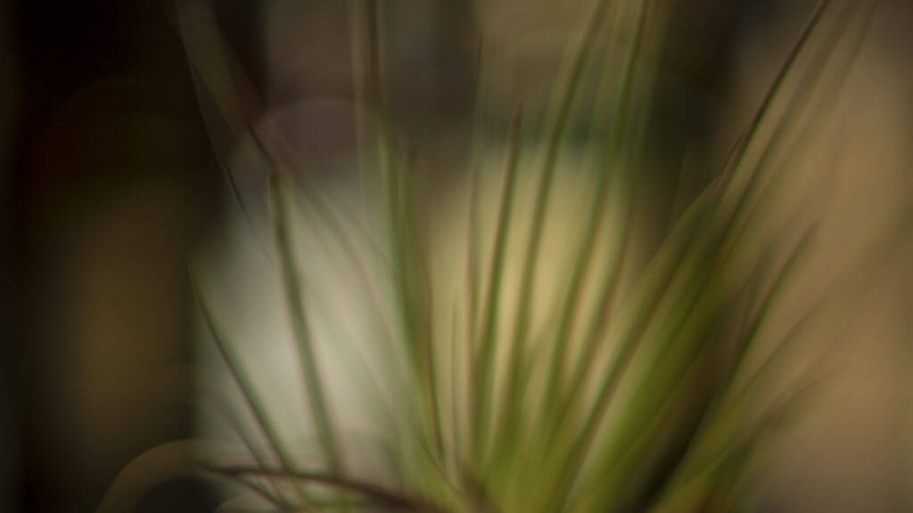 17 Wrigleyville Bars Where You Can Watch the Cubs Play