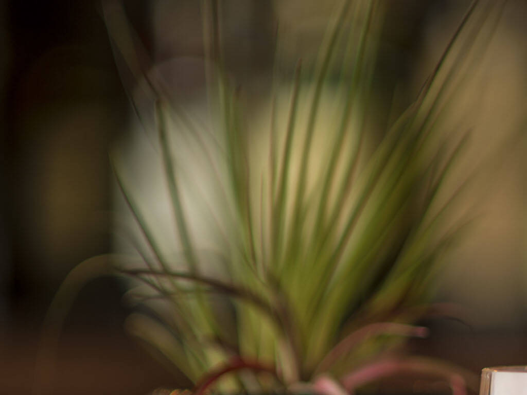 17 Wrigleyville Bars Where You Can Watch the Cubs Play