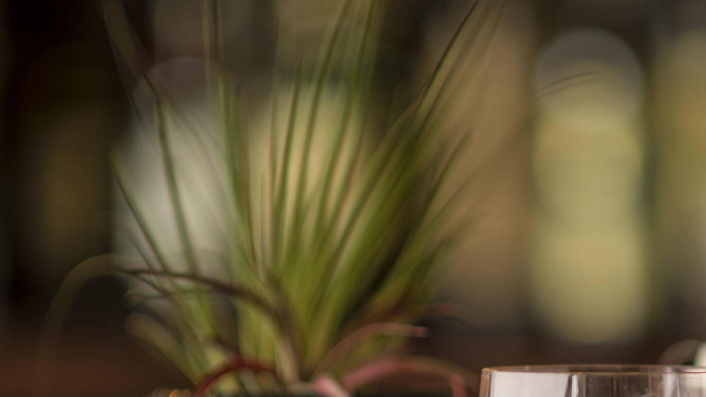 17 Wrigleyville Bars Where You Can Watch the Cubs Play