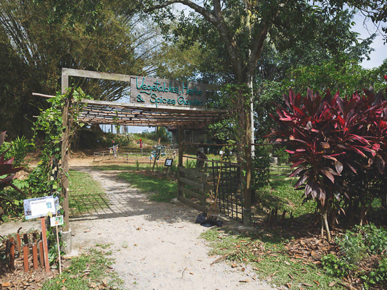 Guide To Pulau Ubin: Things To Do And Explore On The Island
