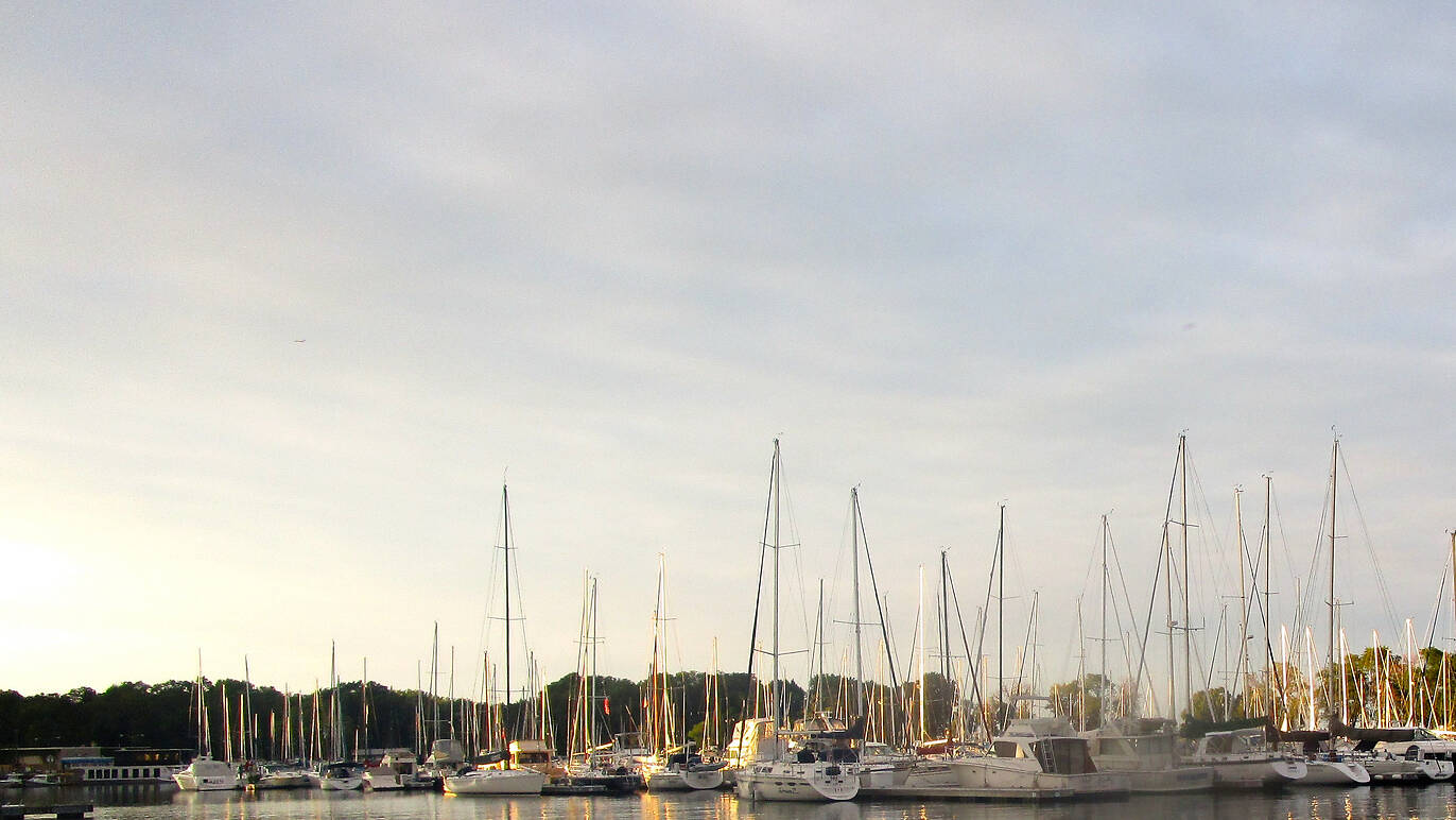 Lakeview’s best attractions and things to do