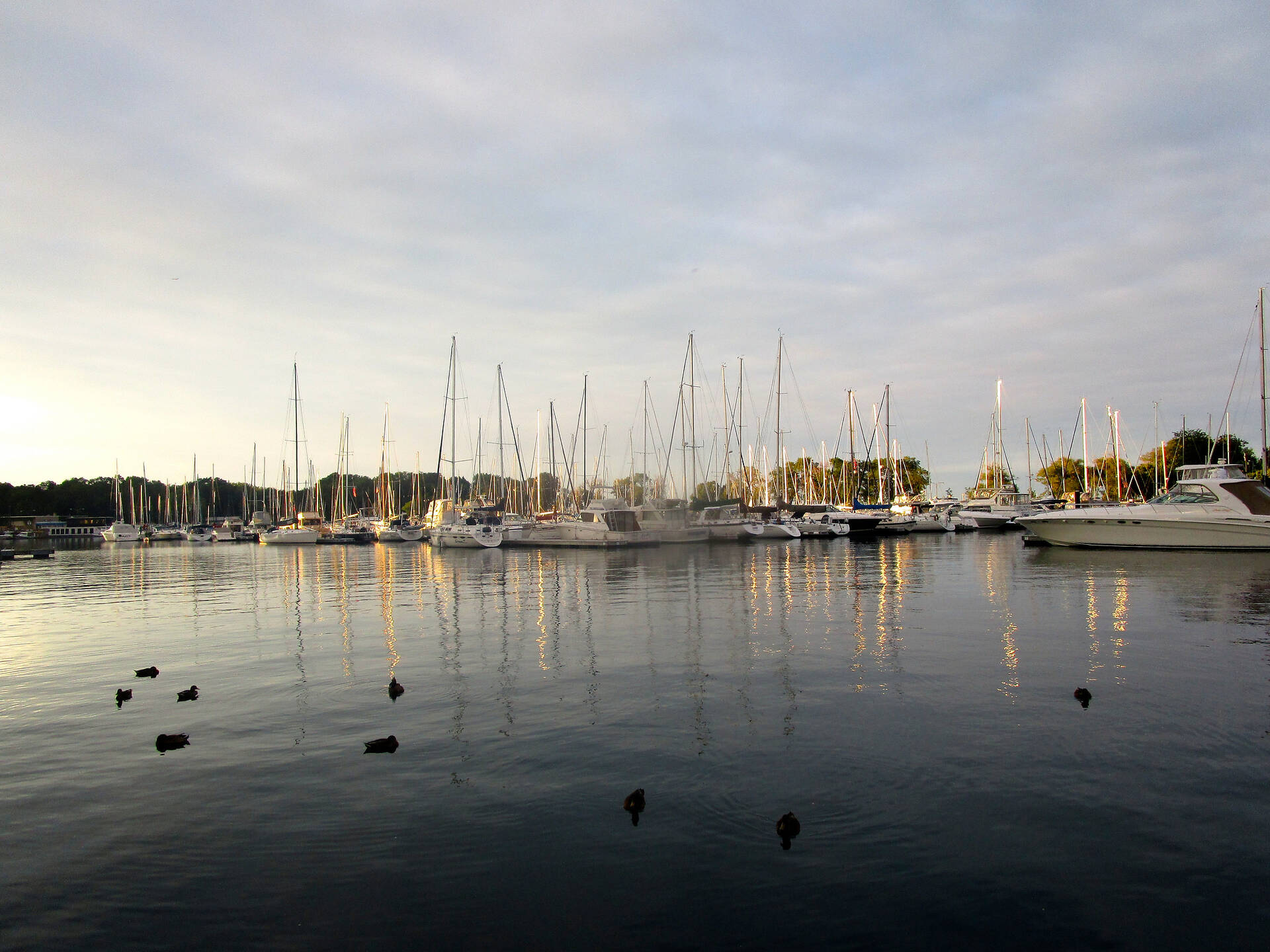 Lakeview’s best attractions and things to do