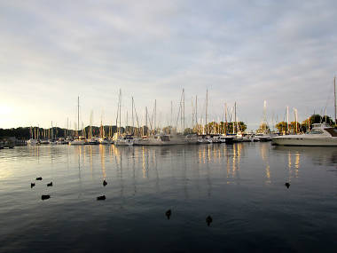 Lakeview’s best attractions and things to do