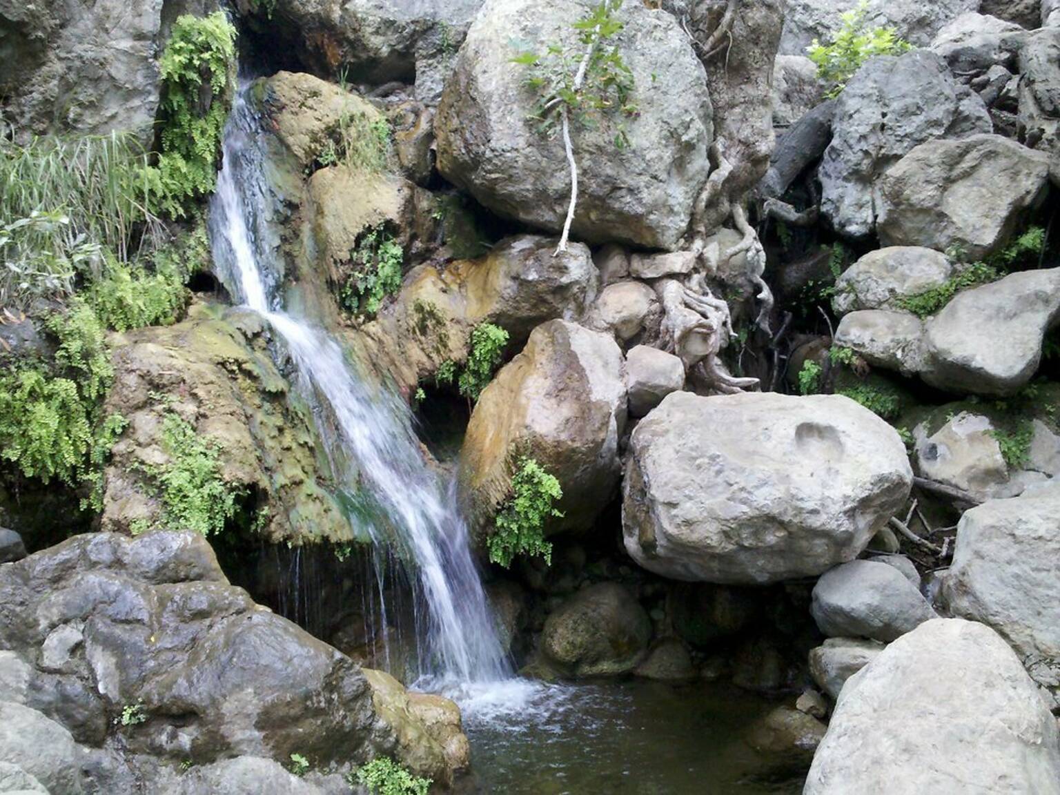 Must-Visit Malibu Destinations for Locals and Visitors Alike