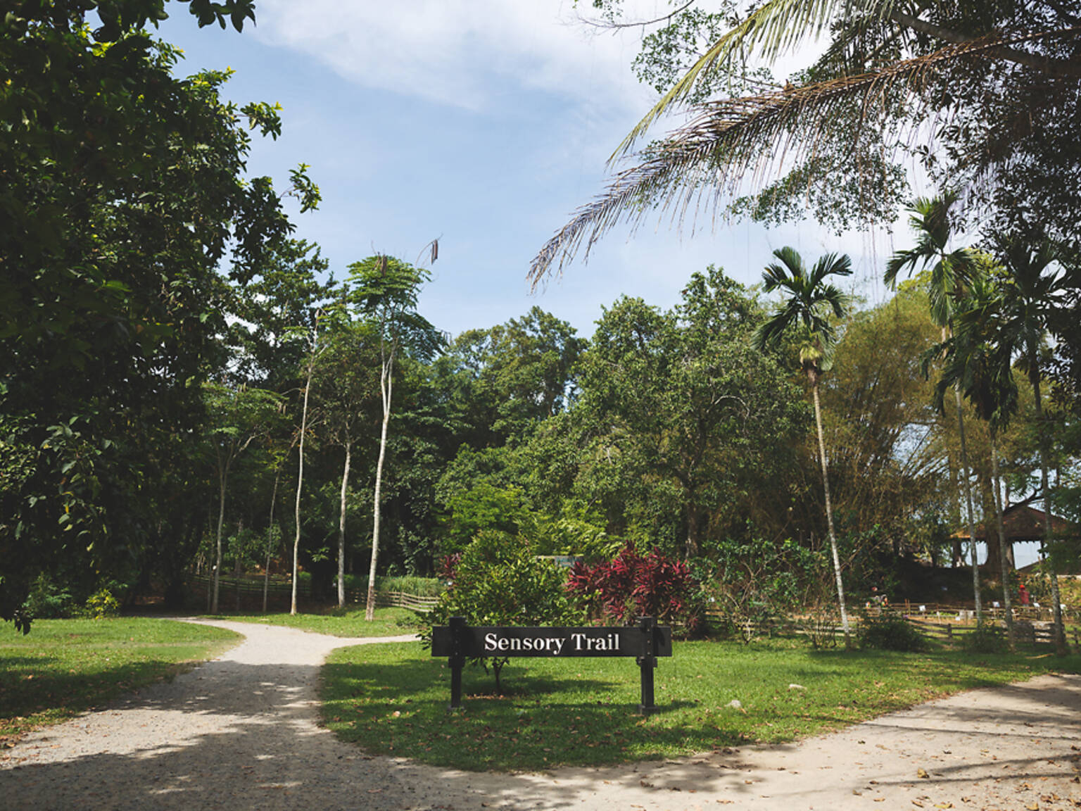 Guide to Pulau Ubin: casual nature lover