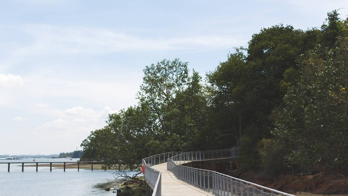 Guide To Pulau Ubin: Things To Do And Explore On The Island