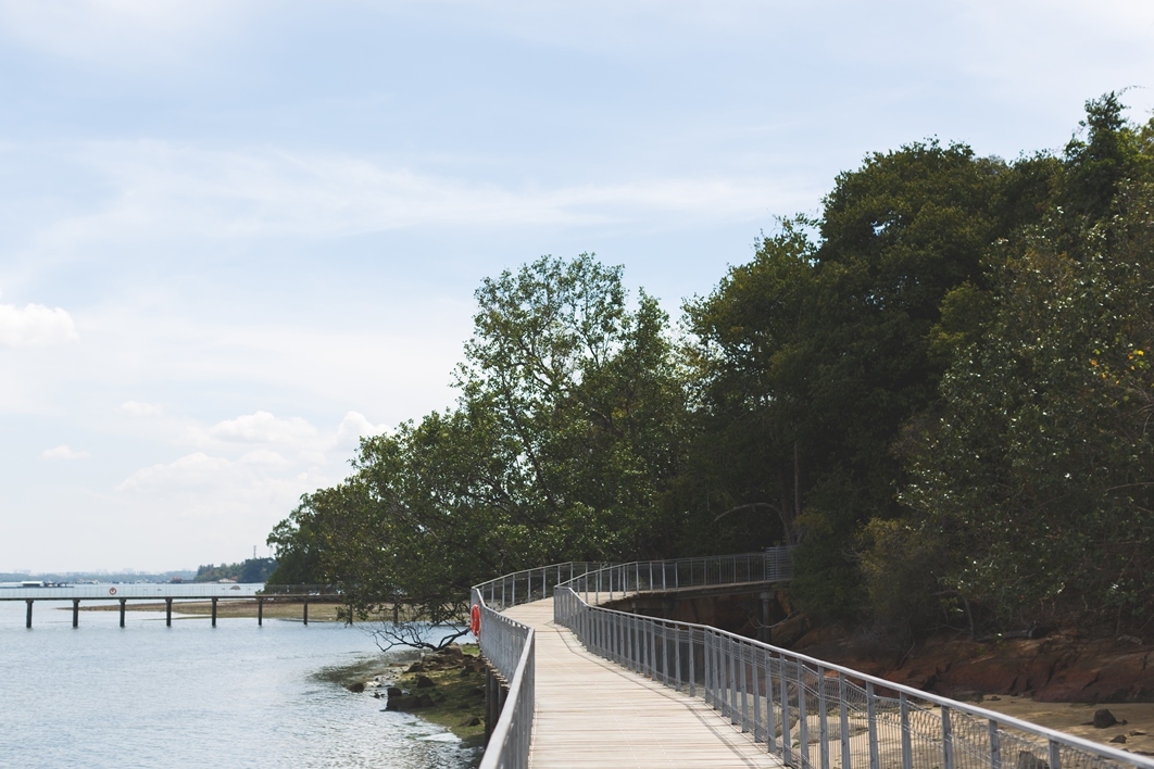 Guide to Pulau Ubin: adventurous explorer