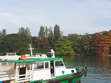 Guide To Pulau Ubin: Things To Do And Explore On The Island