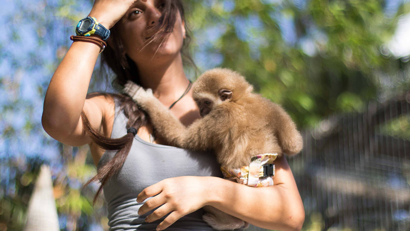 Zoological Wildlife Foundation | Things to do in Redlands, Miami