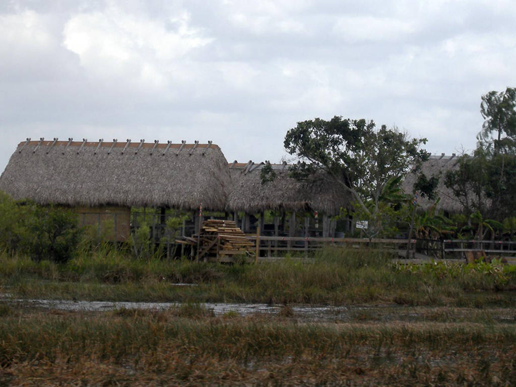 26 Things to Do in Miami With Kids Year Round