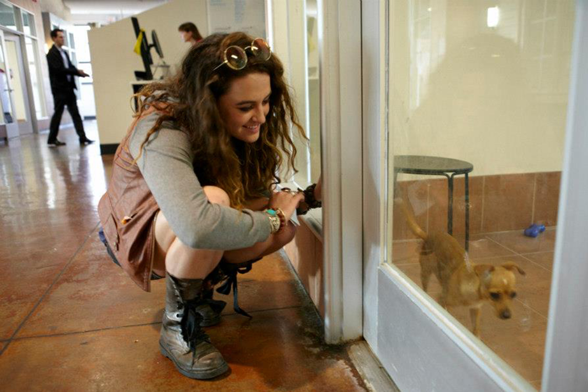 San Francisco SPCA | Attractions in Mission, San Francisco