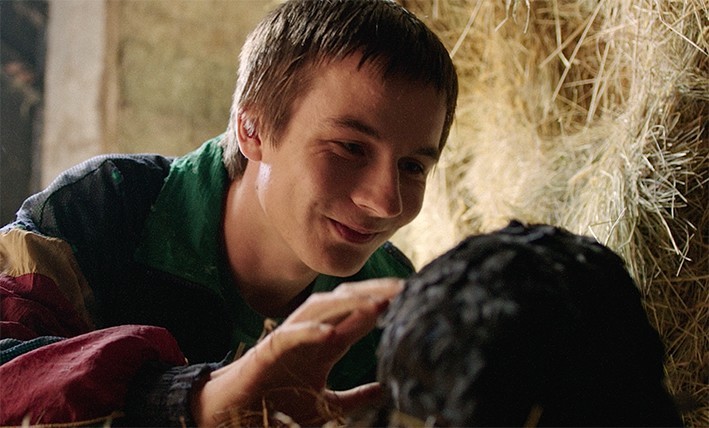 Chicken 2015, directed by Joe Stephenson | Film review