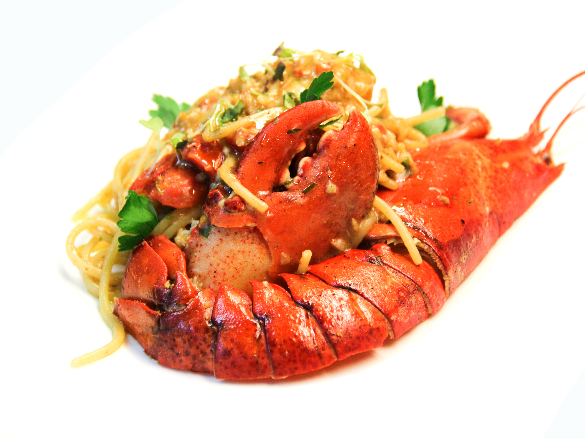 Luce Italian Restaurant | Restaurants in Sathorn, Bangkok