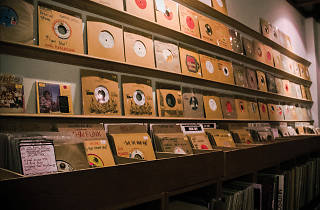 WTF Bar & Gallery | Bars in Watthana, Bangkok