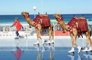 June events in Sydney