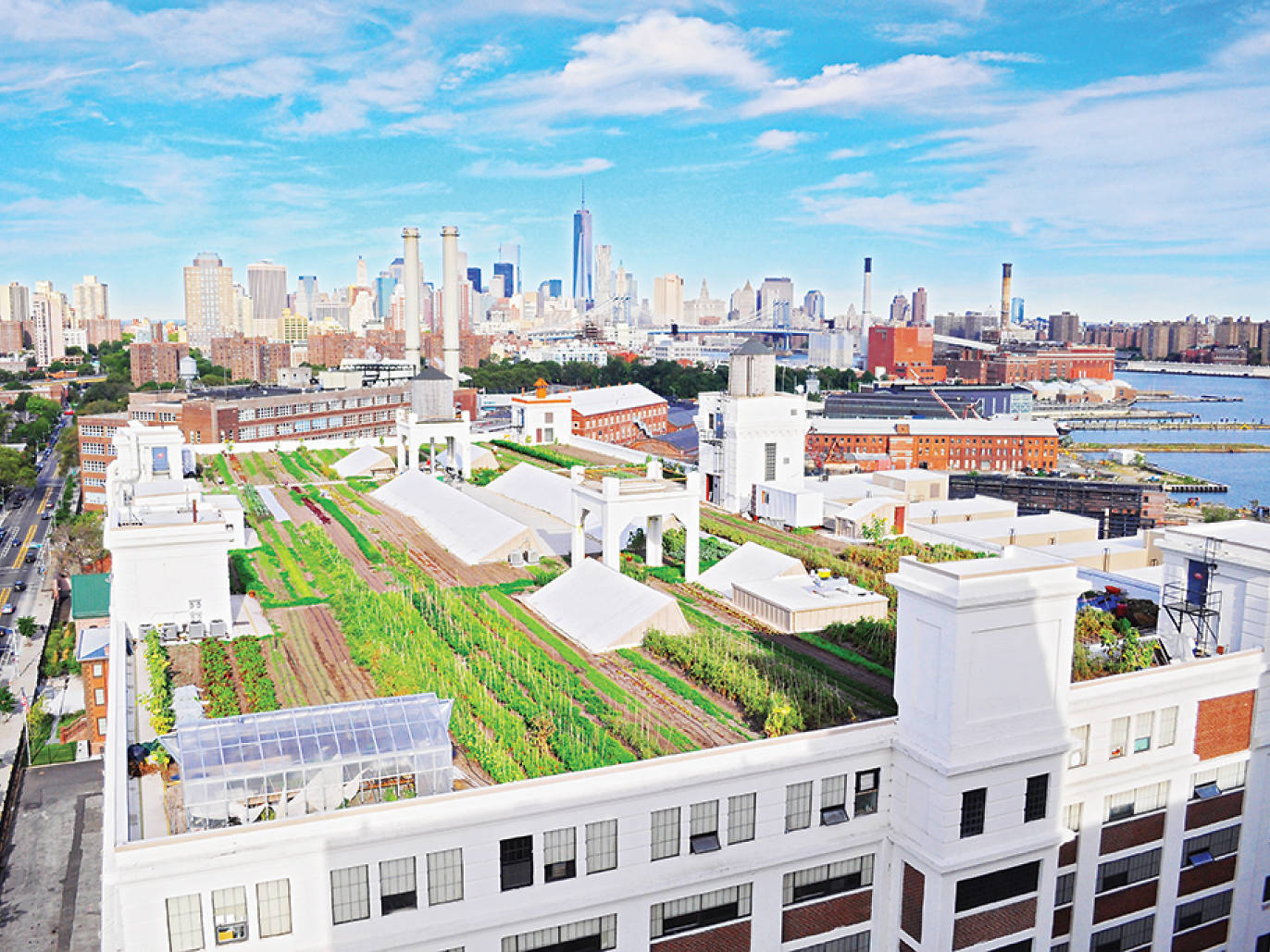 Things to do on NYC Rooftops from Bars to Movie Screenings