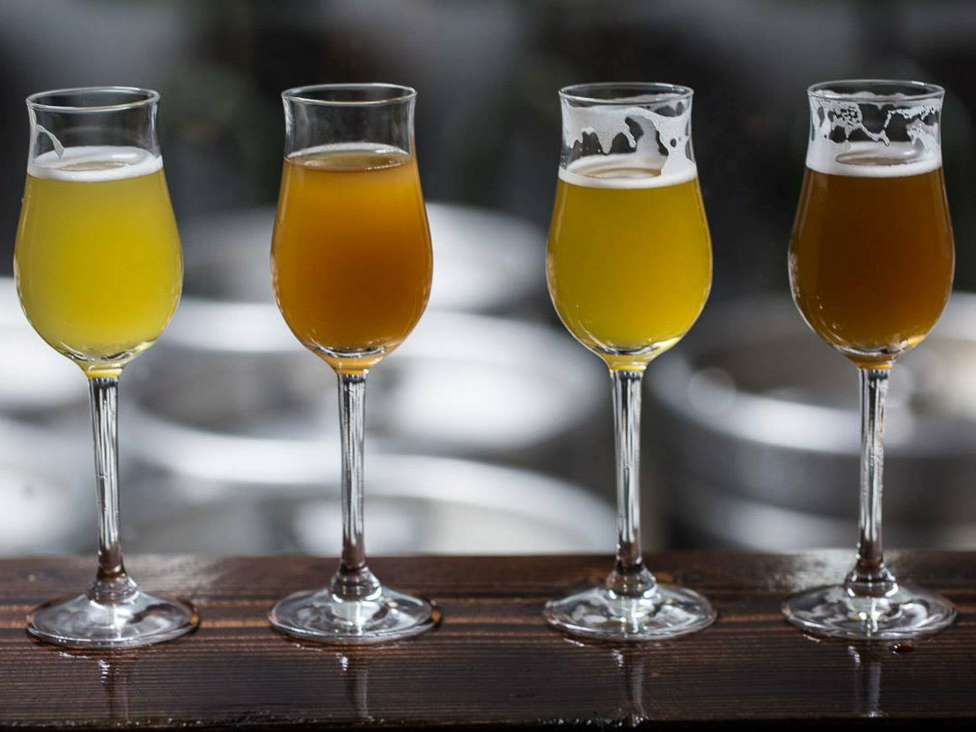 Complete guide to the best South Bay breweries