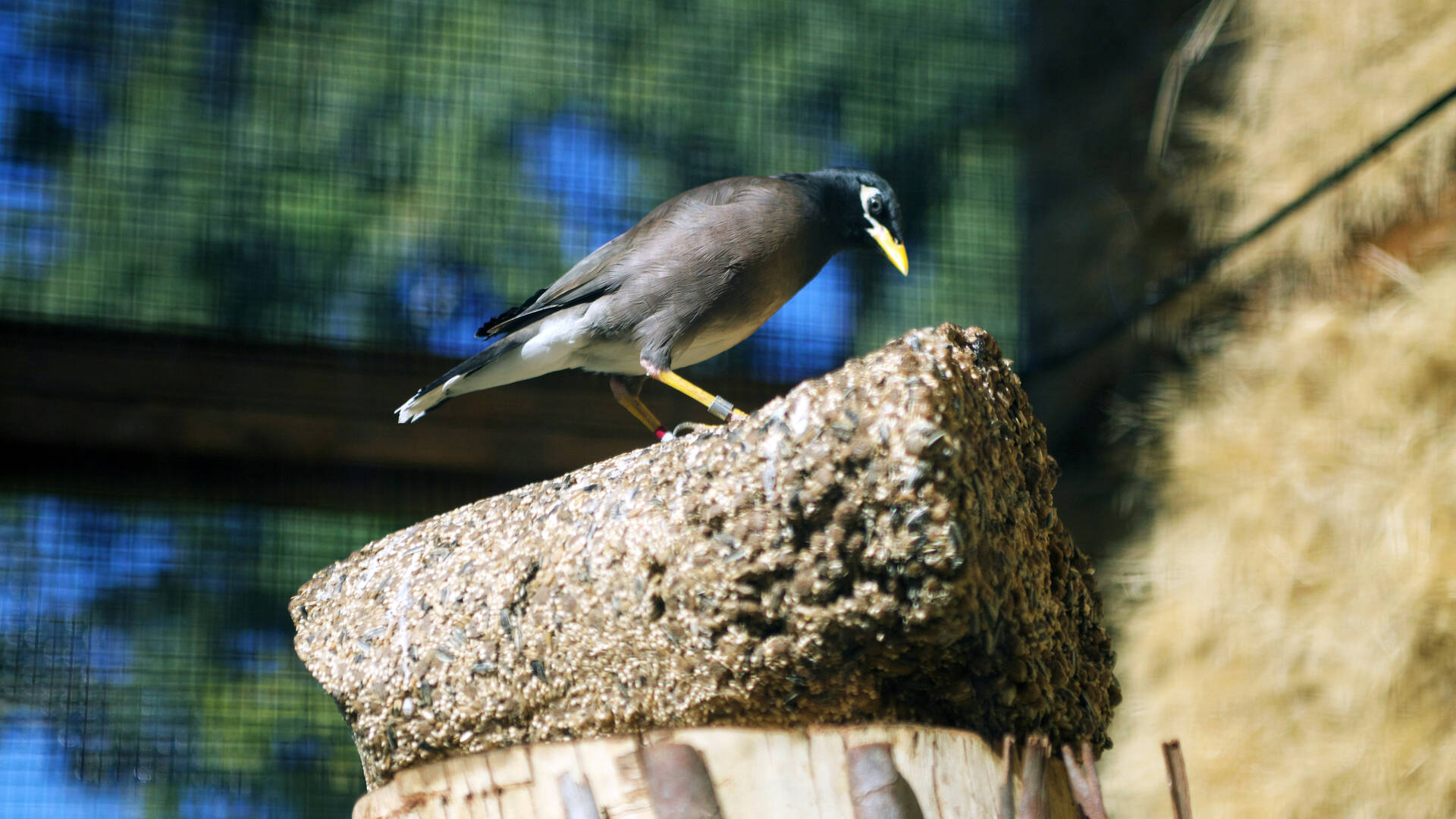 Mortuary Station - Biennale of Sydney | Art in Sydney