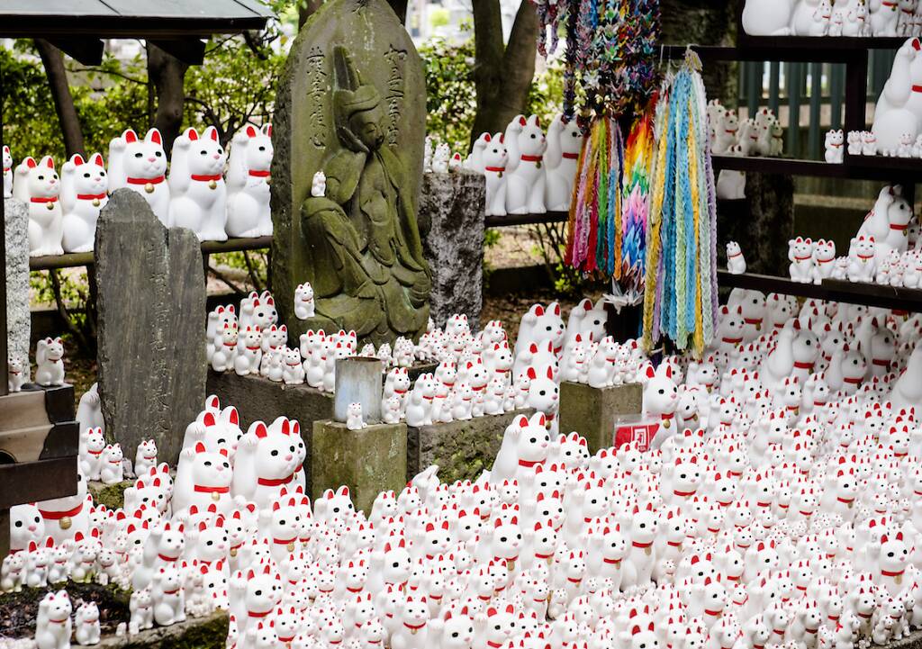 6 purr-fect spots in Tokyo for cat lovers