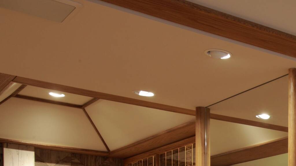 Toro | Shopping in Harajuku, Tokyo