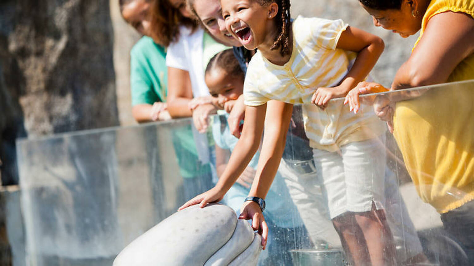 21 Family Weekend Getaways From NYC for Adventure and Fun