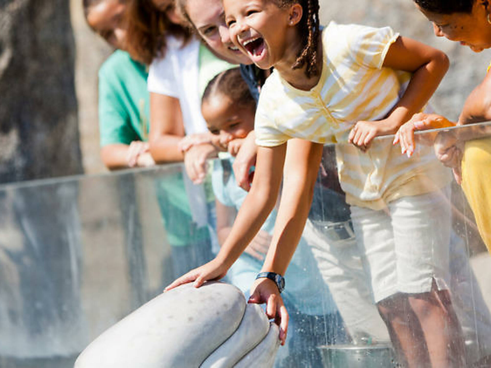 21 Family Weekend Getaways From NYC for Adventure and Fun