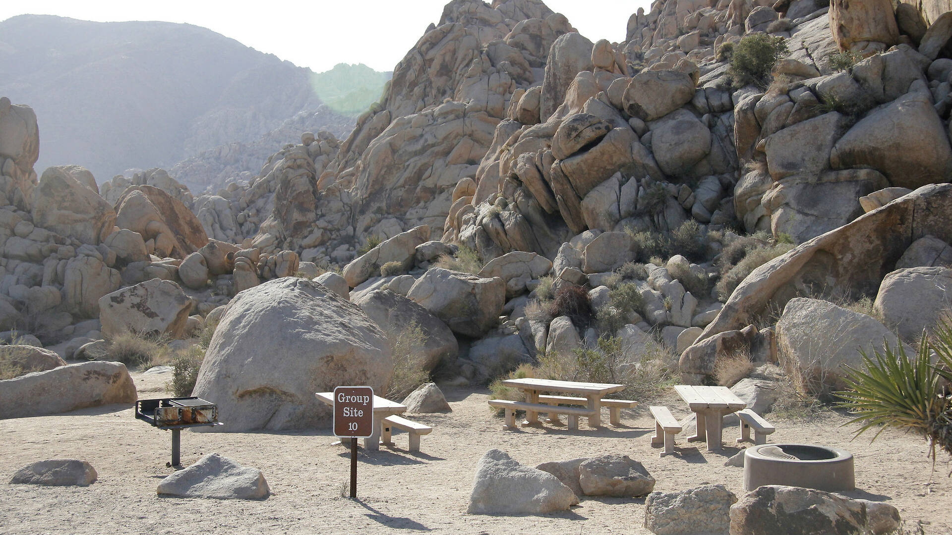 Joshua Tree camping guide for desert adventurers